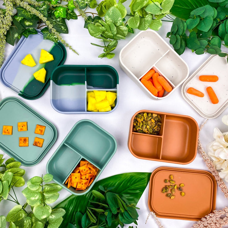Silicone Bento Boxes – Buzzee